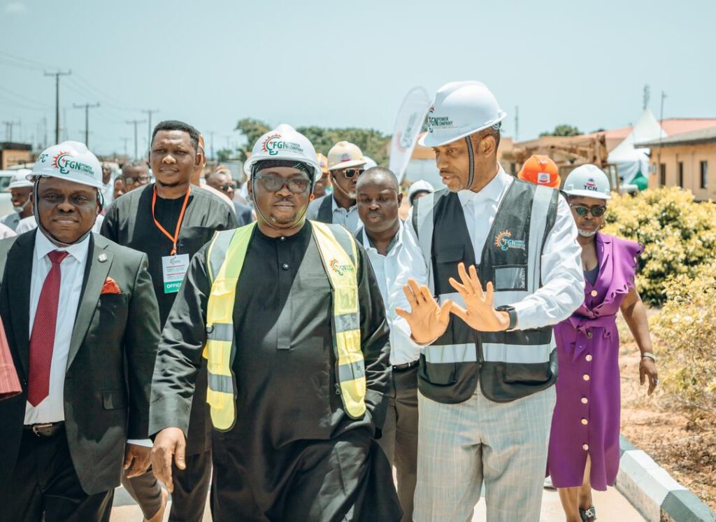 THE SURVIVAL OF THE GRID: Why the PPI Is Nigeria’s Strategic Pathway to ...